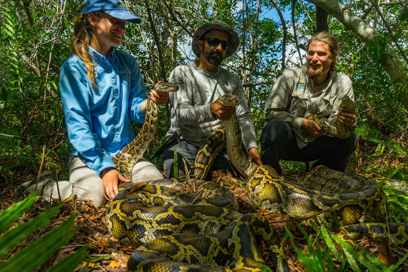 Homepage | Conservancy of Southwest Florida