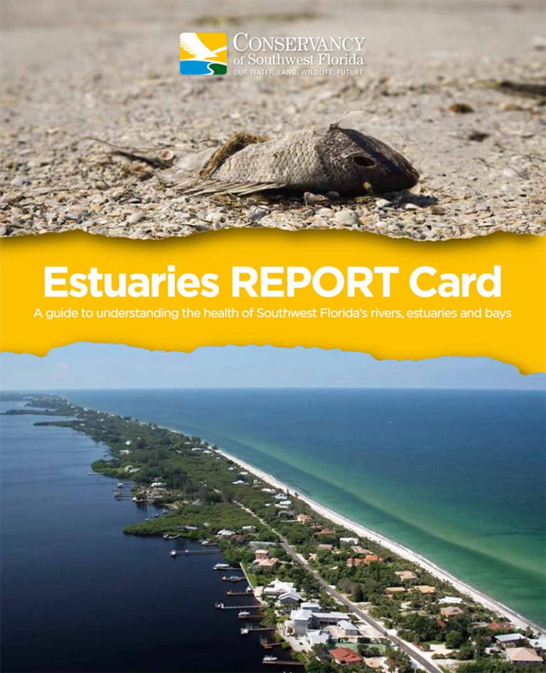 Report Card Cover | Conservancy of Southwest Florida