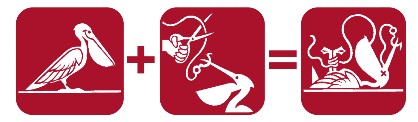 Peer to Pier Pelican Protection | Conservancy of Southwest Florida