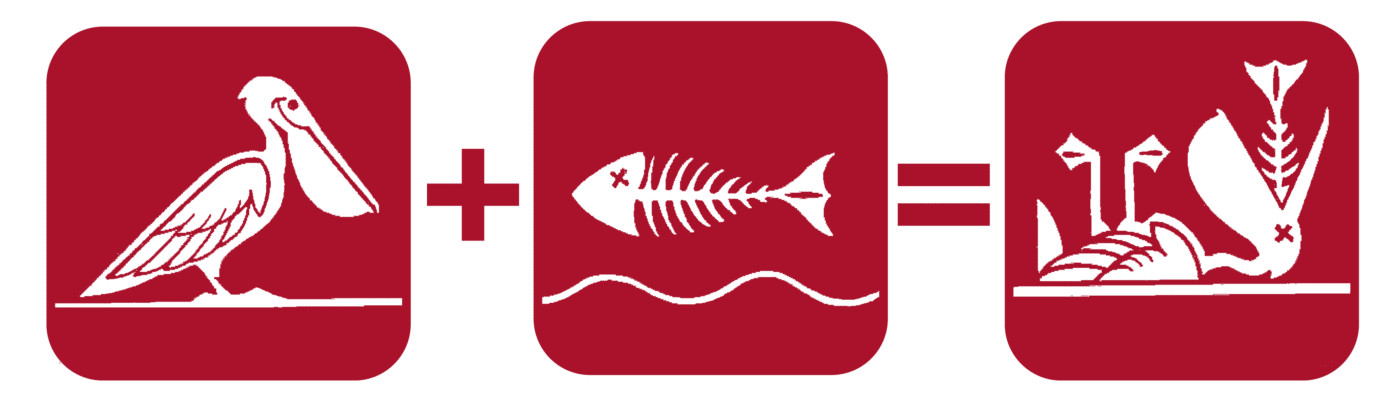 Peer to Pier Pelican Protection | Conservancy of Southwest Florida