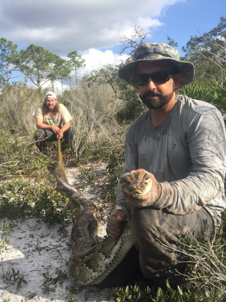 20,000 pounds of Burmese python removed | Conservancy of Southwest Florida