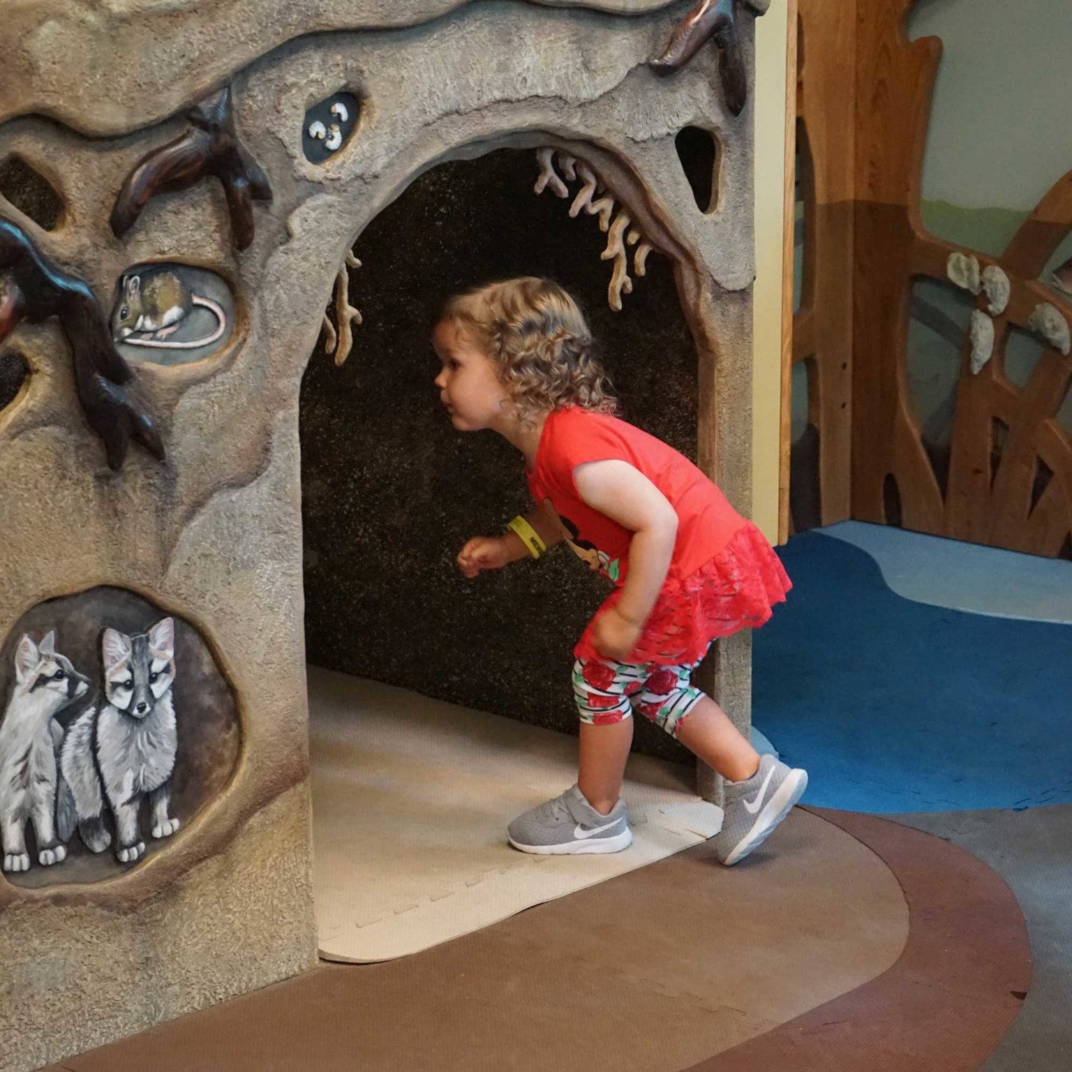 Nature Center | Conservancy of Southwest Florida