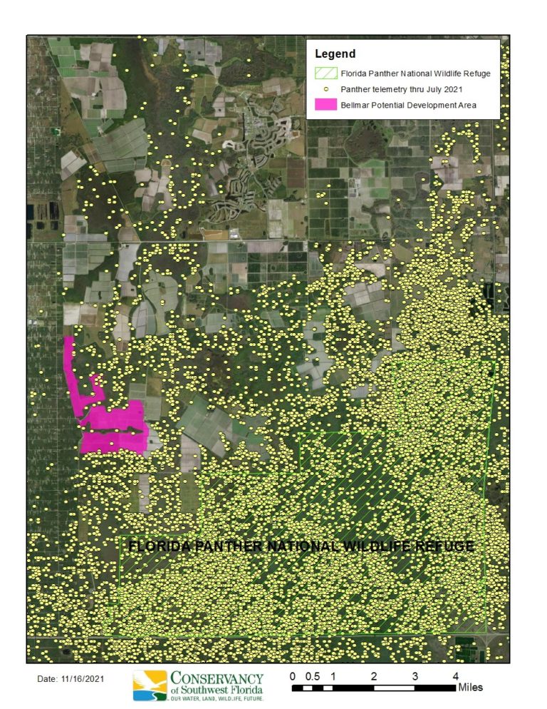Take action: Protect the Panther Refuge from encroaching development ...