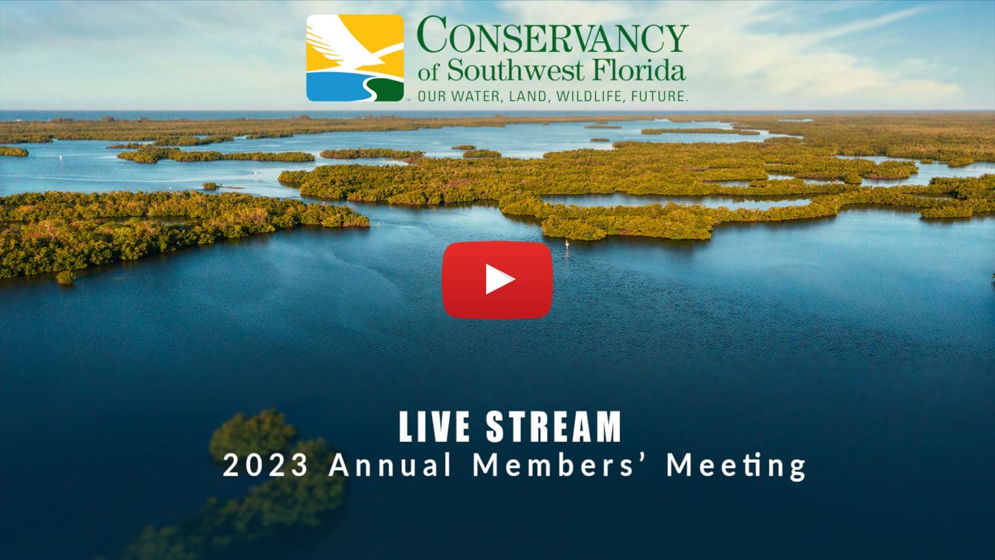 LIVE STREAM SPLASH | Conservancy of Southwest Florida