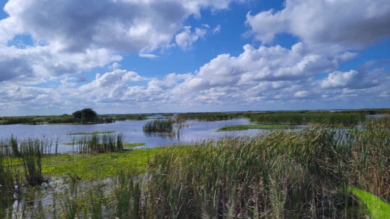 Reservoir Groundbreaking Represents a New Era for Everglades ...