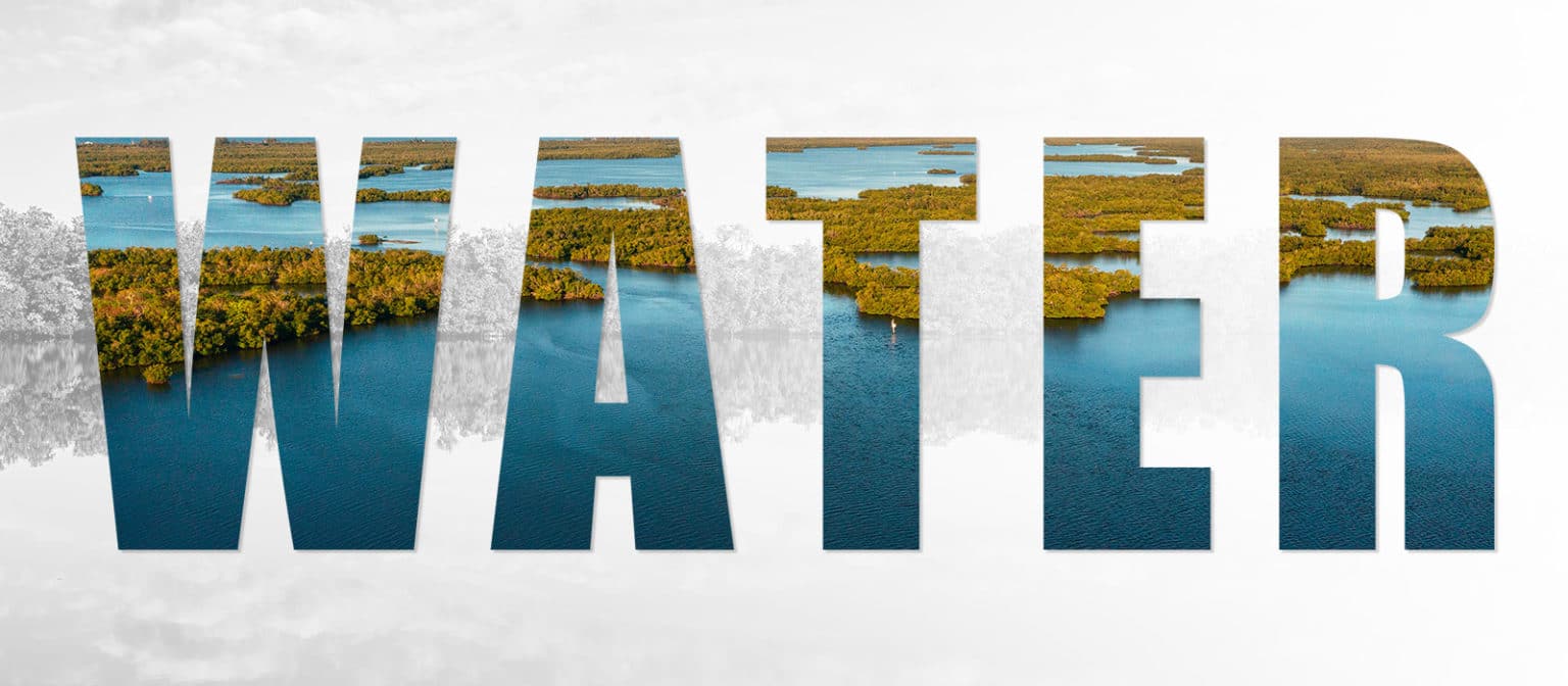 Homepage | Conservancy of Southwest Florida