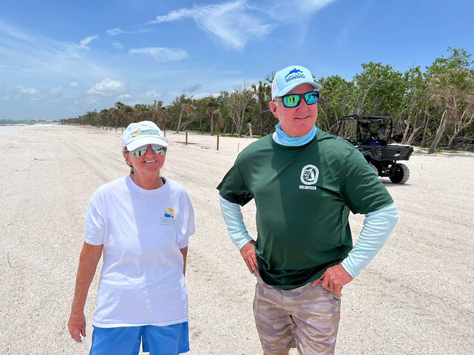 Loggerhead sea turtles released after months of rehabilitation ...