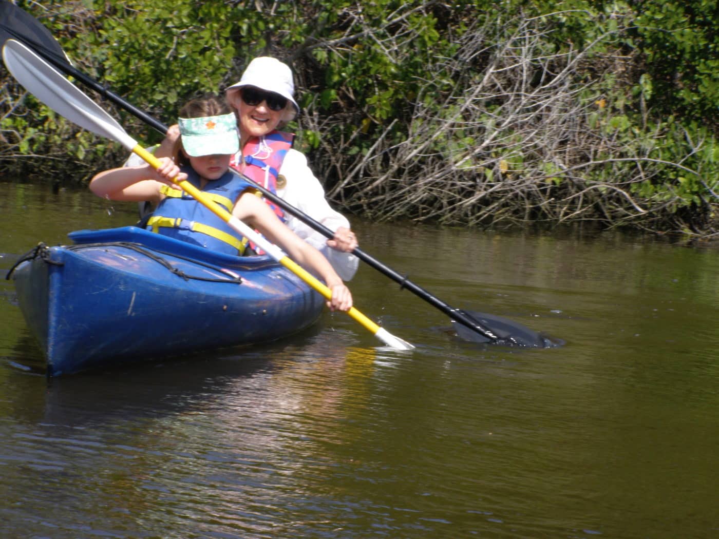 Protecting paradise, the Seeley-Ferguson family’s gift to the future ...