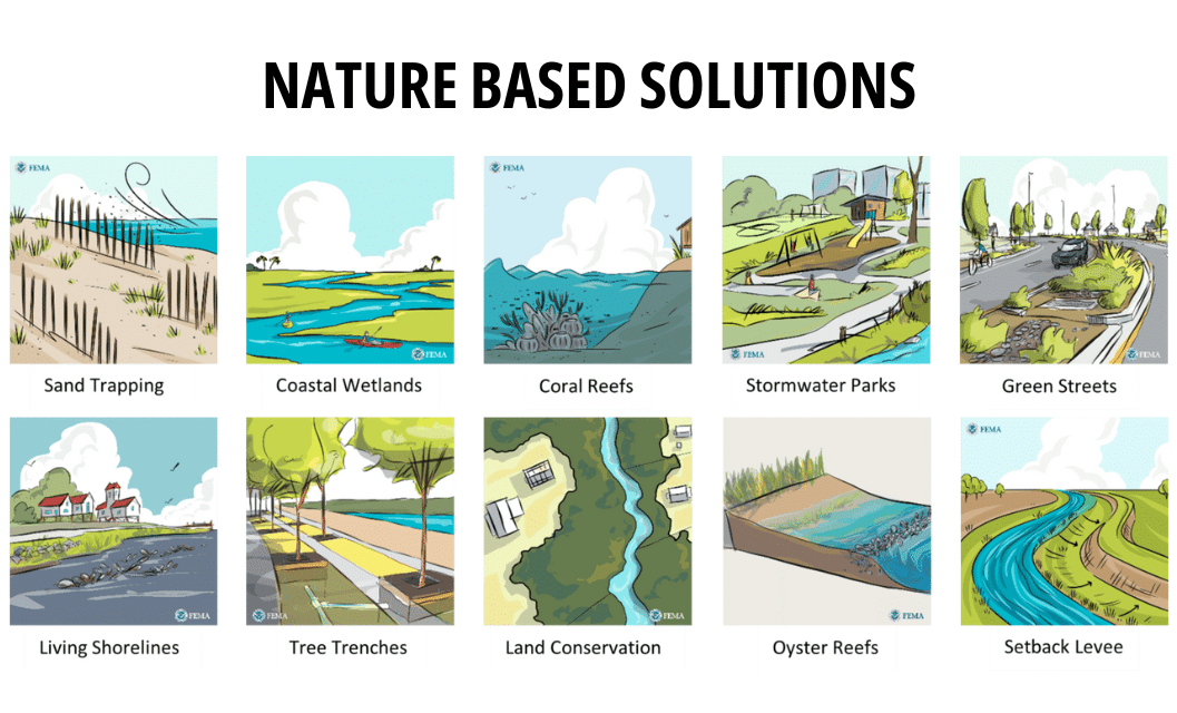 Conservancy of Southwest Florida Launches Nature-Based Solution ...